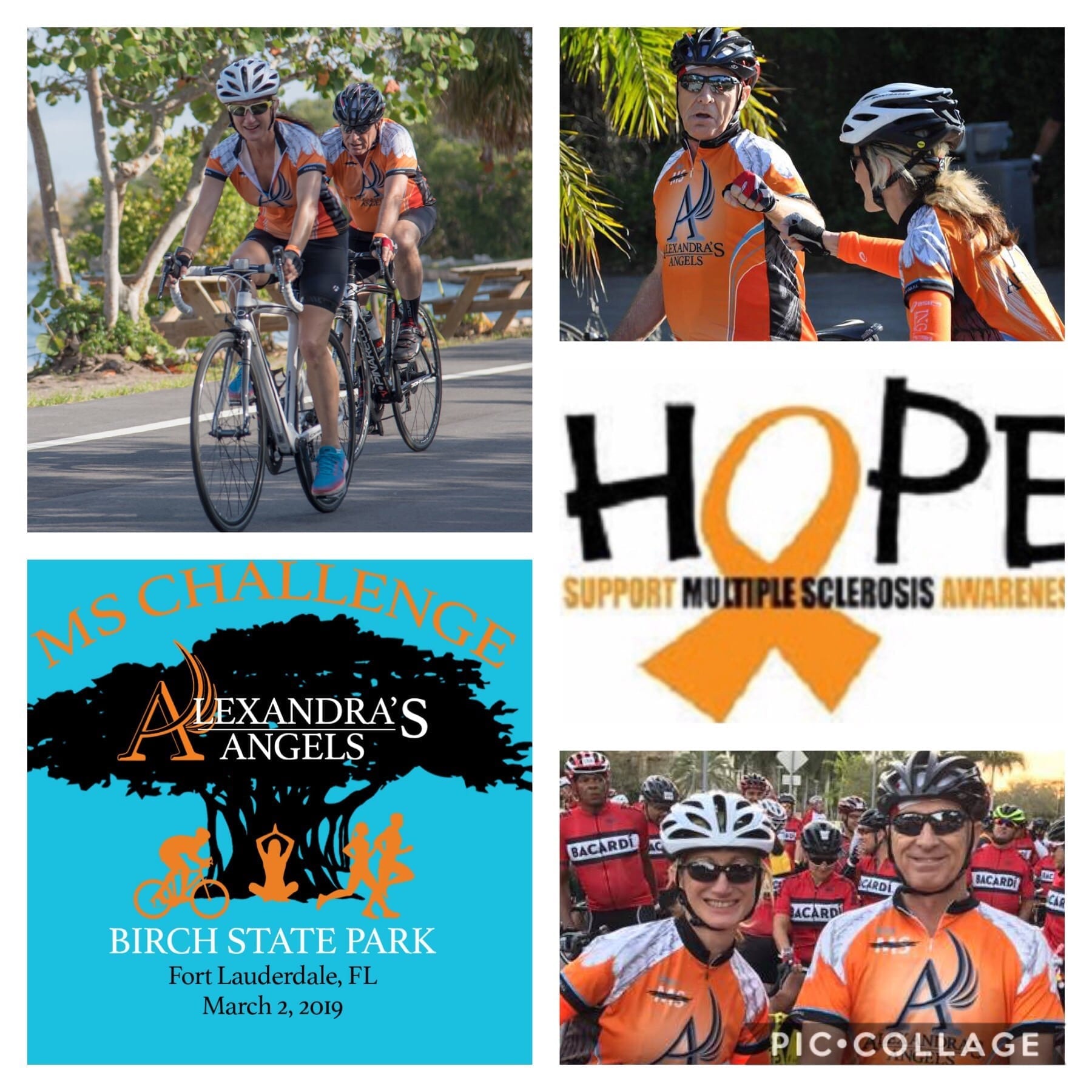 Lisa Clough Collage - Alexandra's Angels MS Foundation